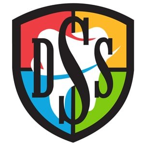 Ct Dss Logo